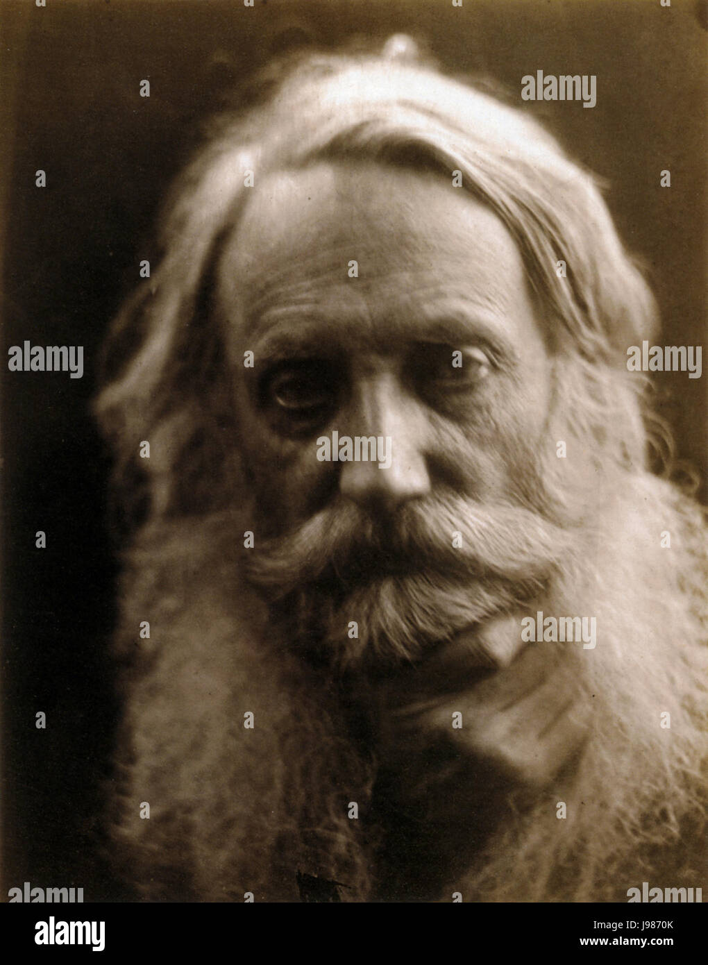 Sir Henry Taylor, by Julia Margaret Cameron Stock Photo - Alamy