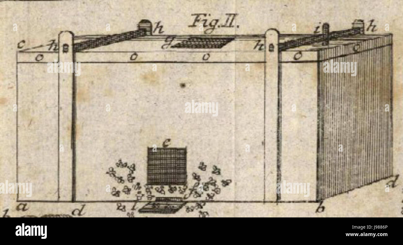 Schirach colmena horizontal Stock Photo - Alamy