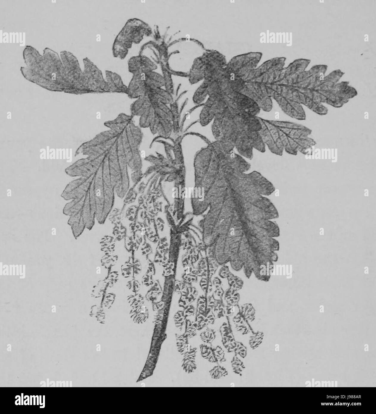 Marshall health Black and White Stock Photos & Images - Alamy