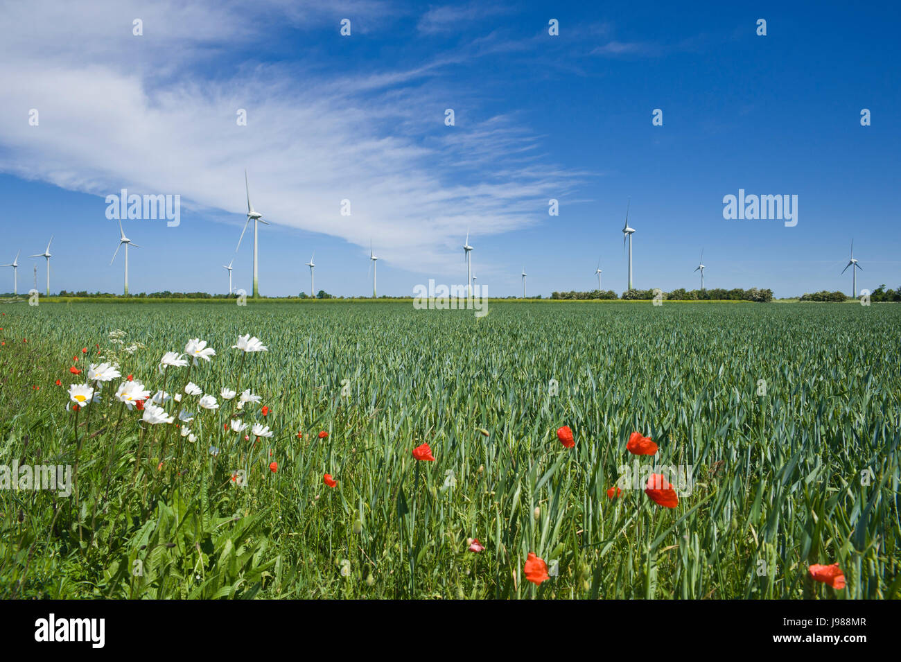 wind turbine,lemkenhafen,insel fehmarn Stock Photo - Alamy