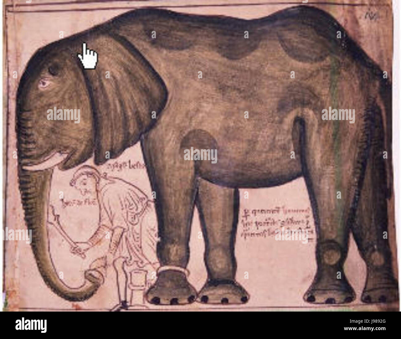 Slon Stock Photos & Slon Stock Images - Alamy