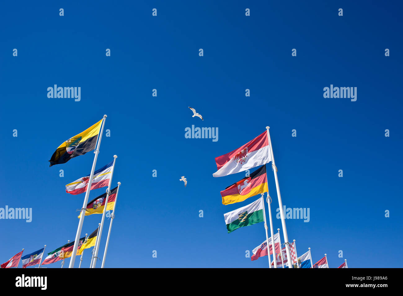 german national flags Stock Photo - Alamy