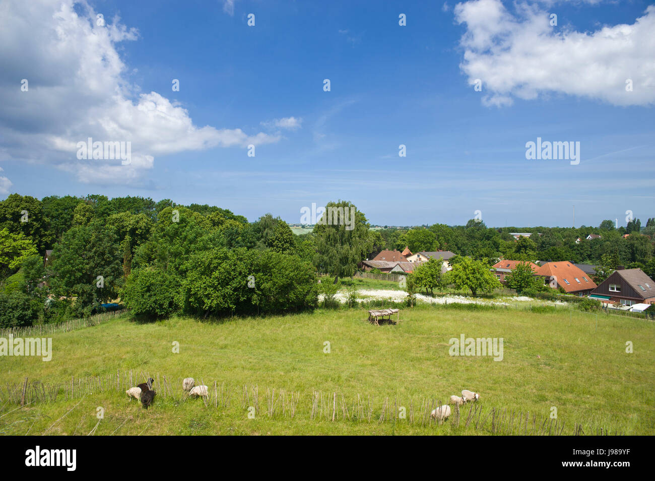 view from the rampart,oldenburg in holstein Stock Photo - Alamy