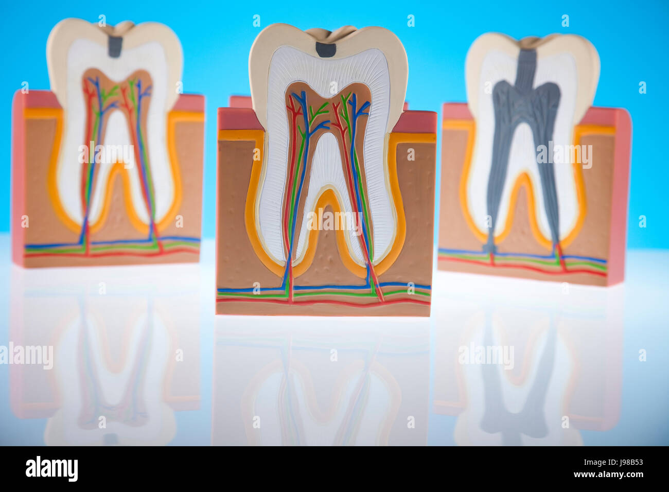 health, teeth, dentist, human, human being, tooth, dental, healthcare ...