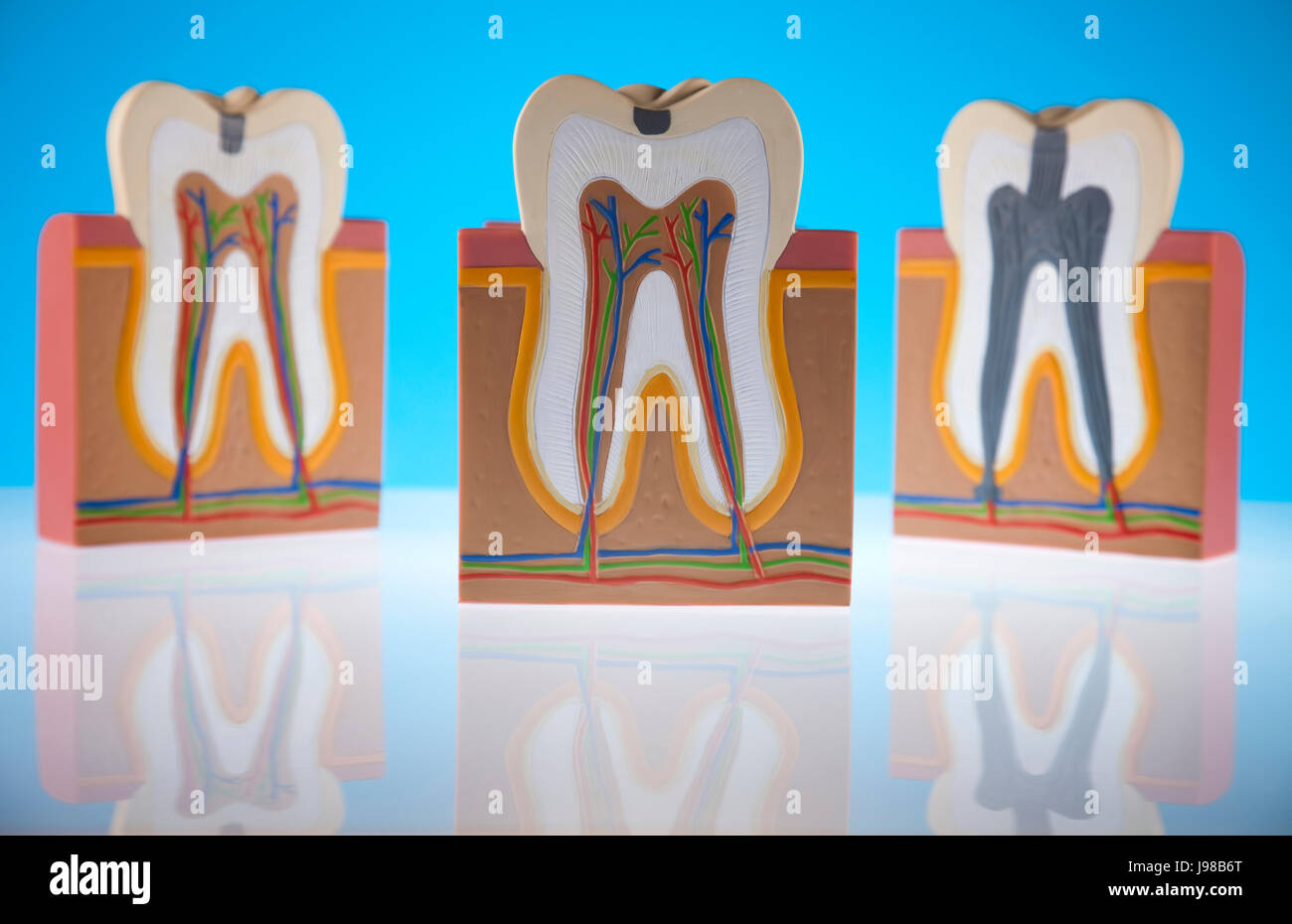 health, teeth, dentist, human, human being, tooth, dental, healthcare ...