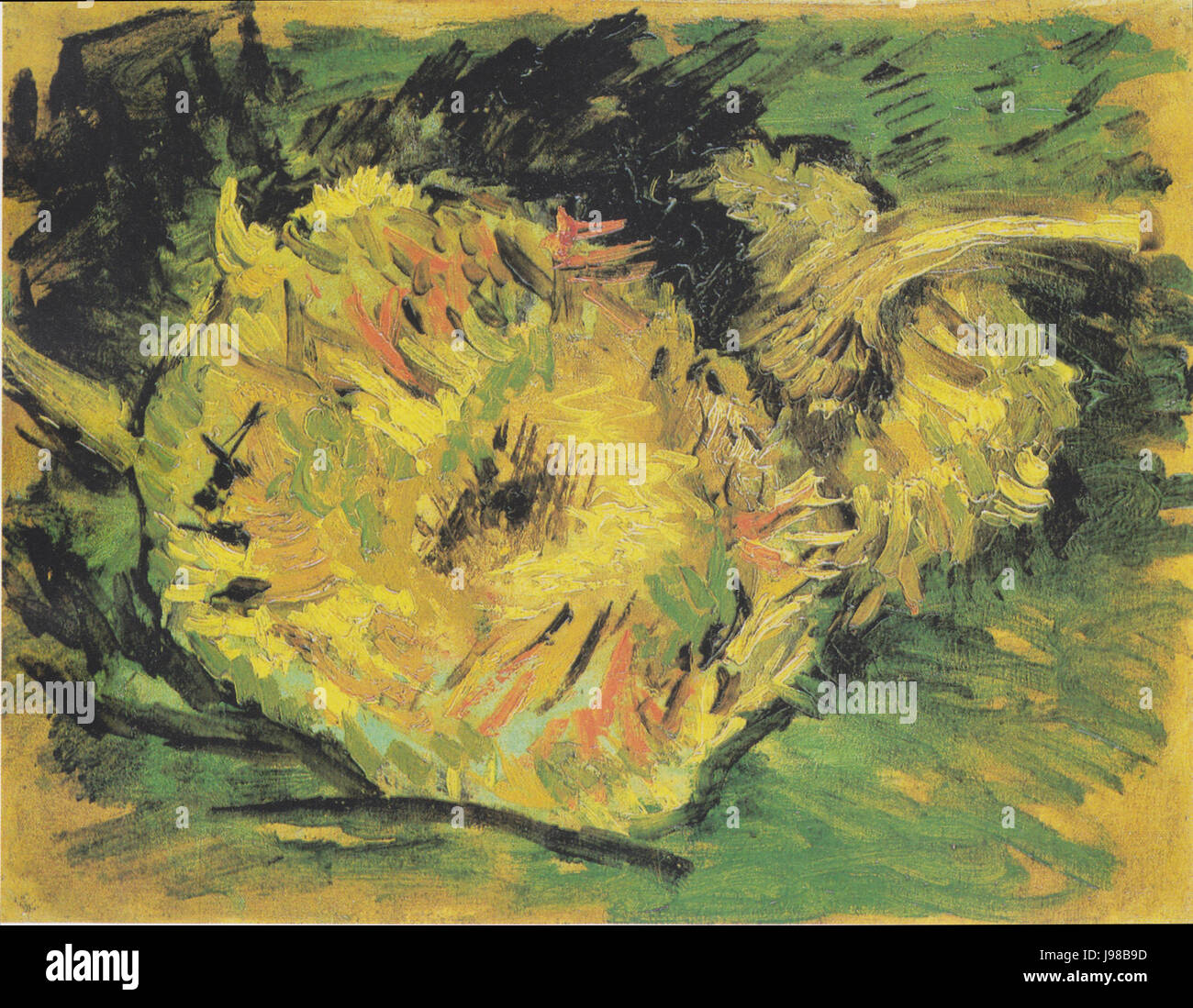 Sunflowers series van gogh hi-res stock photography and images - Alamy