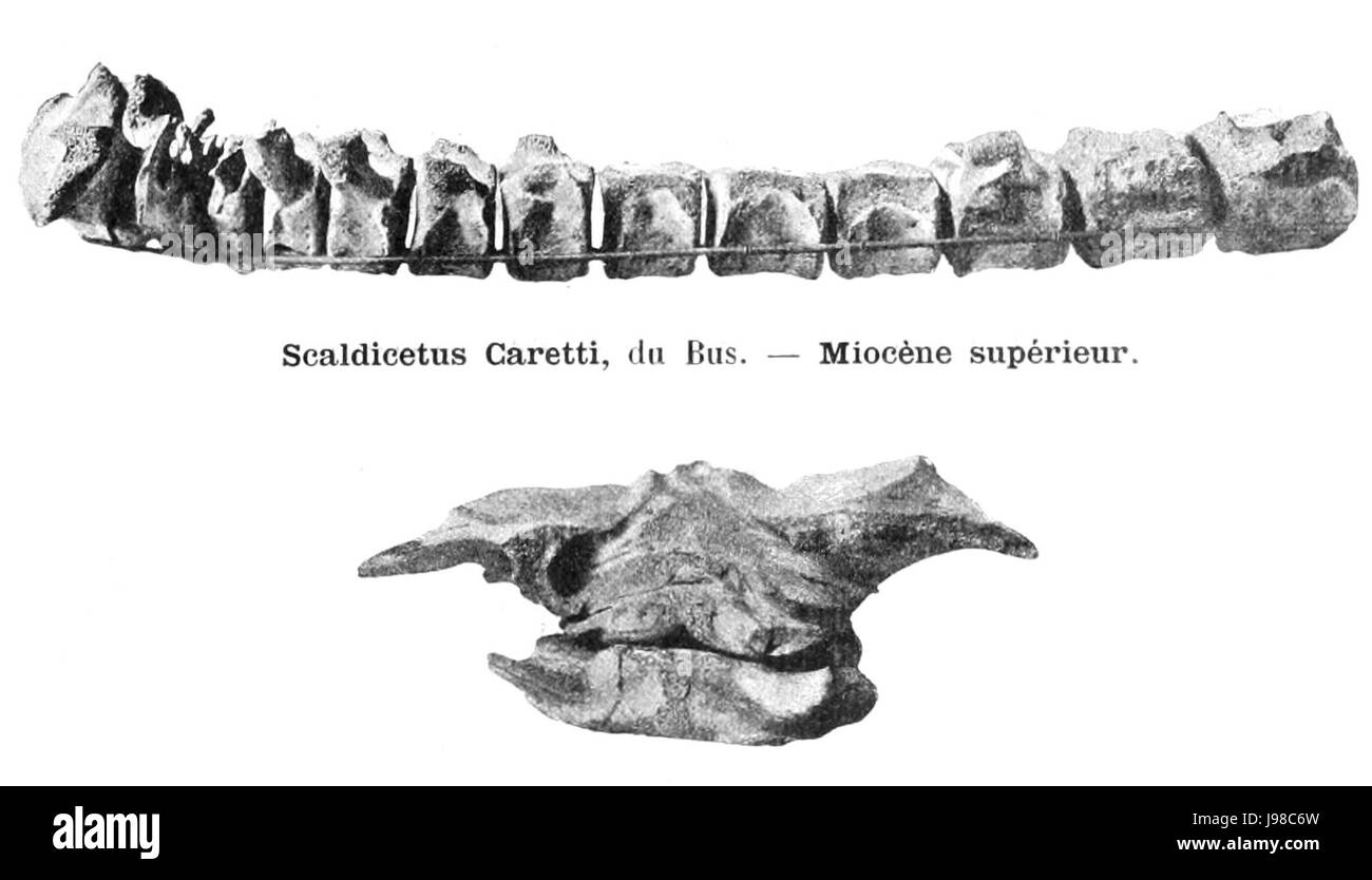 Caretti hi-res stock photography and images - Alamy