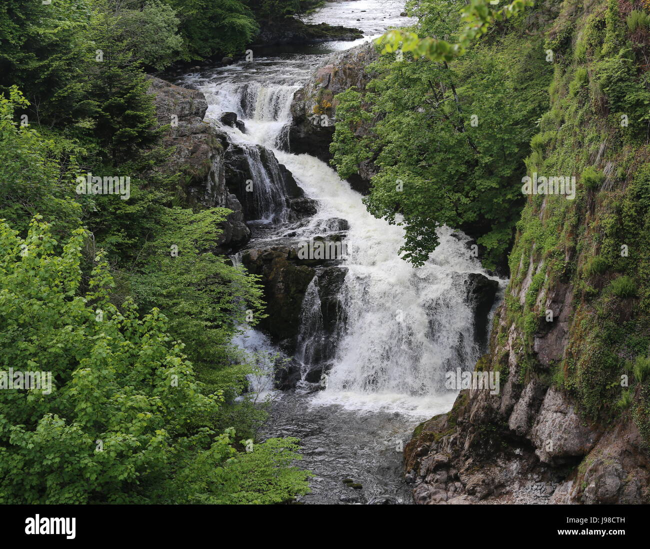 Reekie Linn waterfall Scotland May 2017 Stock Photo - Alamy