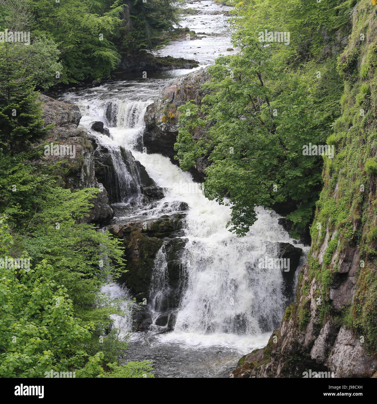 Reekie Linn waterfall Scotland May 2017 Stock Photo - Alamy