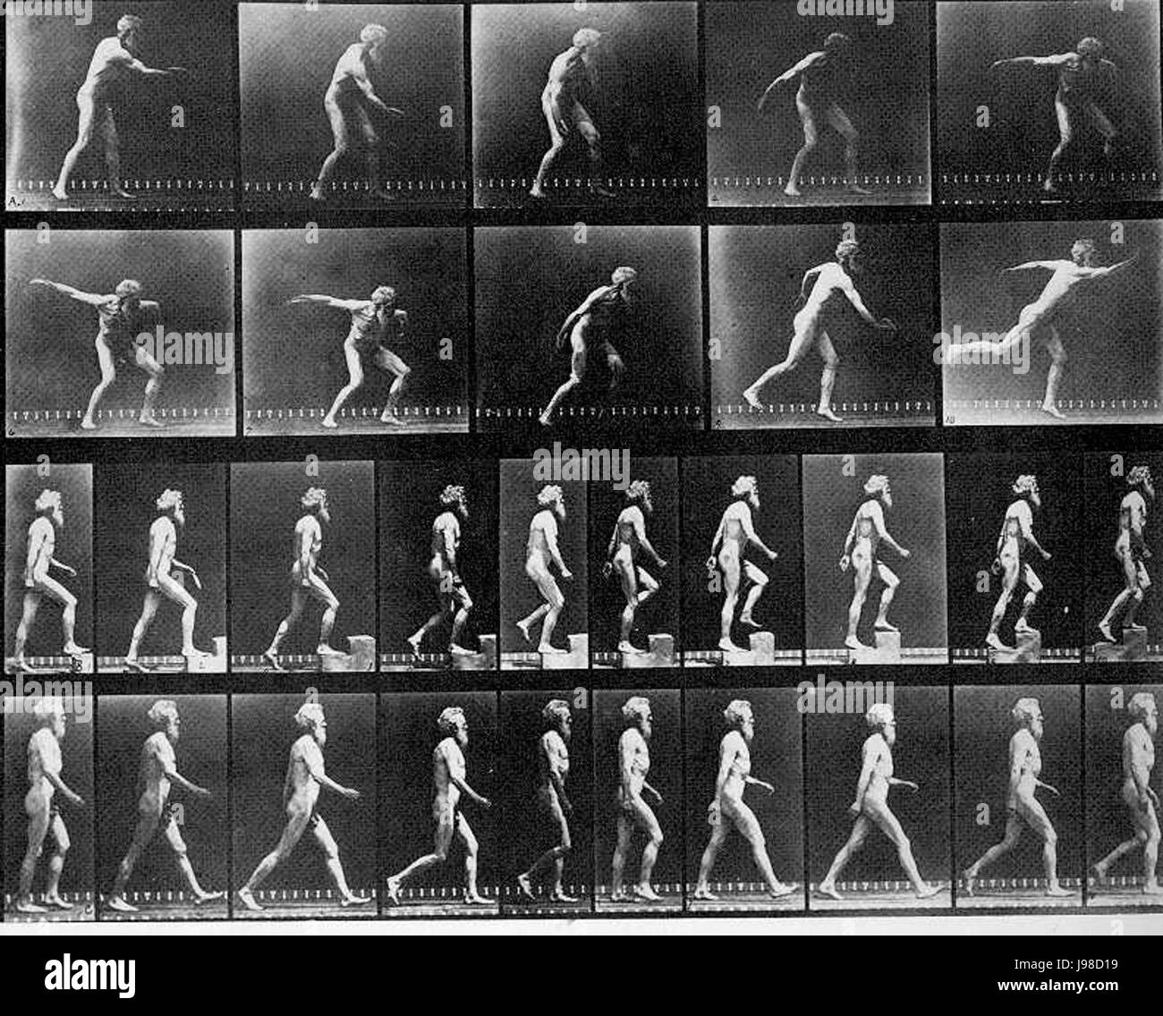 Muybridge hi-res stock photography and images - Alamy