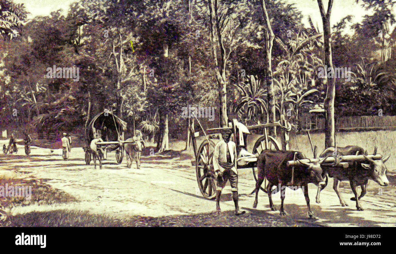 Op pad op Java Stock Photo - Alamy