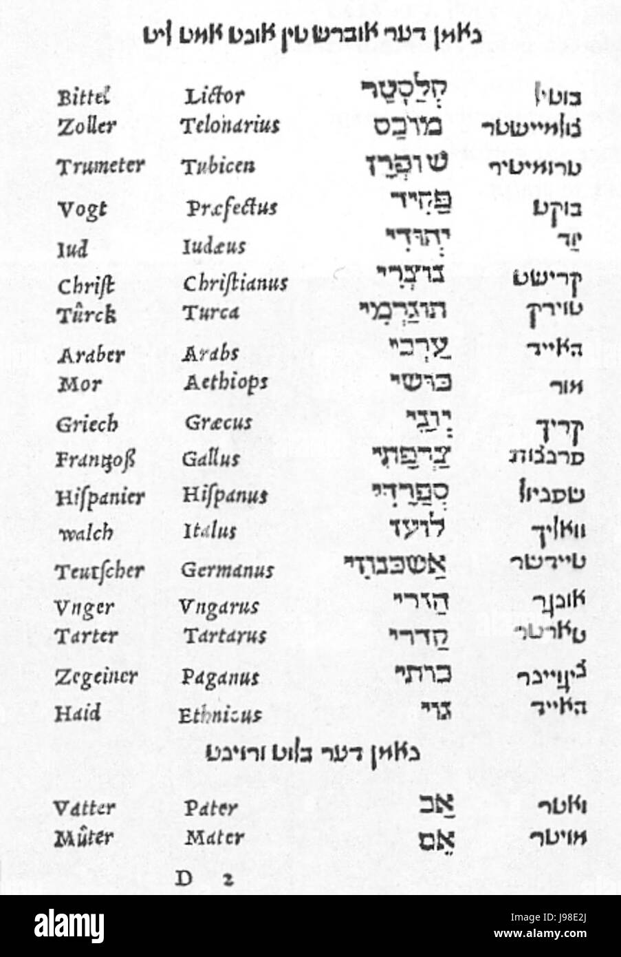Yiddish Words