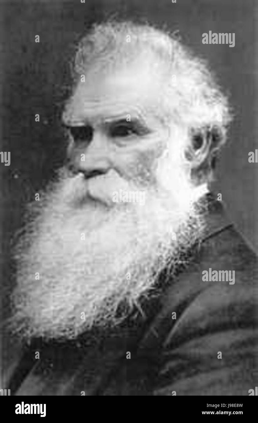 Orson pratt mormon leader hi-res stock photography and images - Alamy