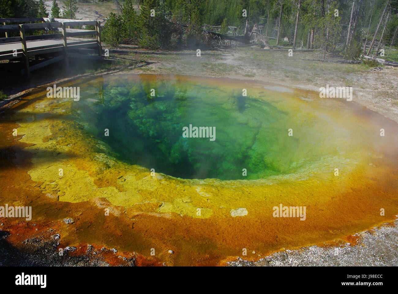 colours of morning glory pool,yellowstone national park,wyoming Stock ...