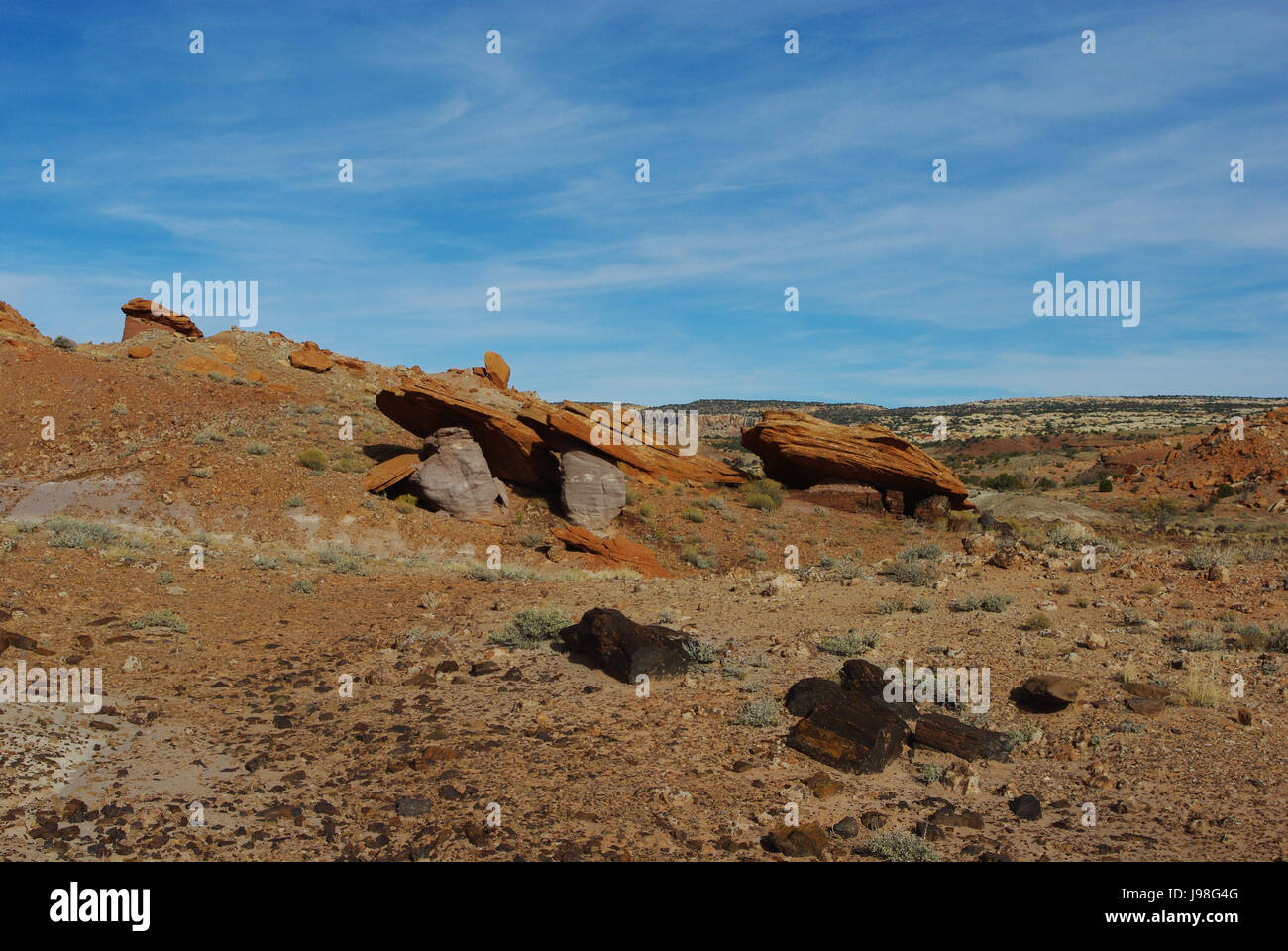 petrified wood orange,and pink rocks,utah Stock Photo - Alamy