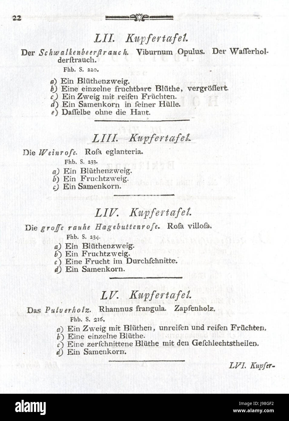 Holzarten Cut Out Stock Images & Pictures - Alamy