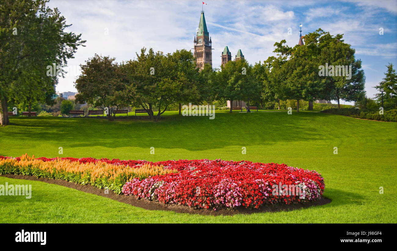 house, building, tower, office, leaf, city, town, political, tree ...