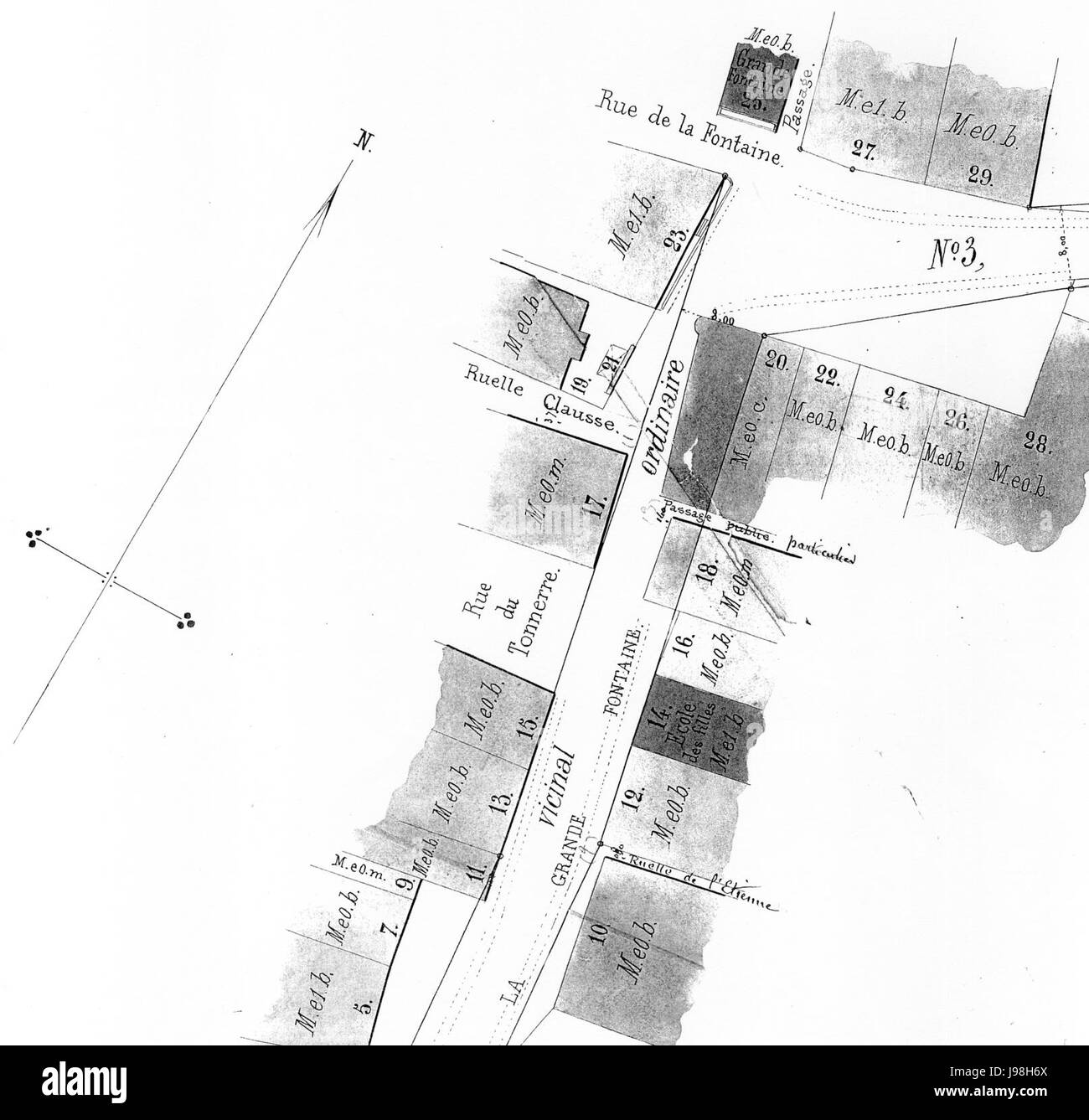 Medical plant art Black and White Stock Photos & Images - Alamy