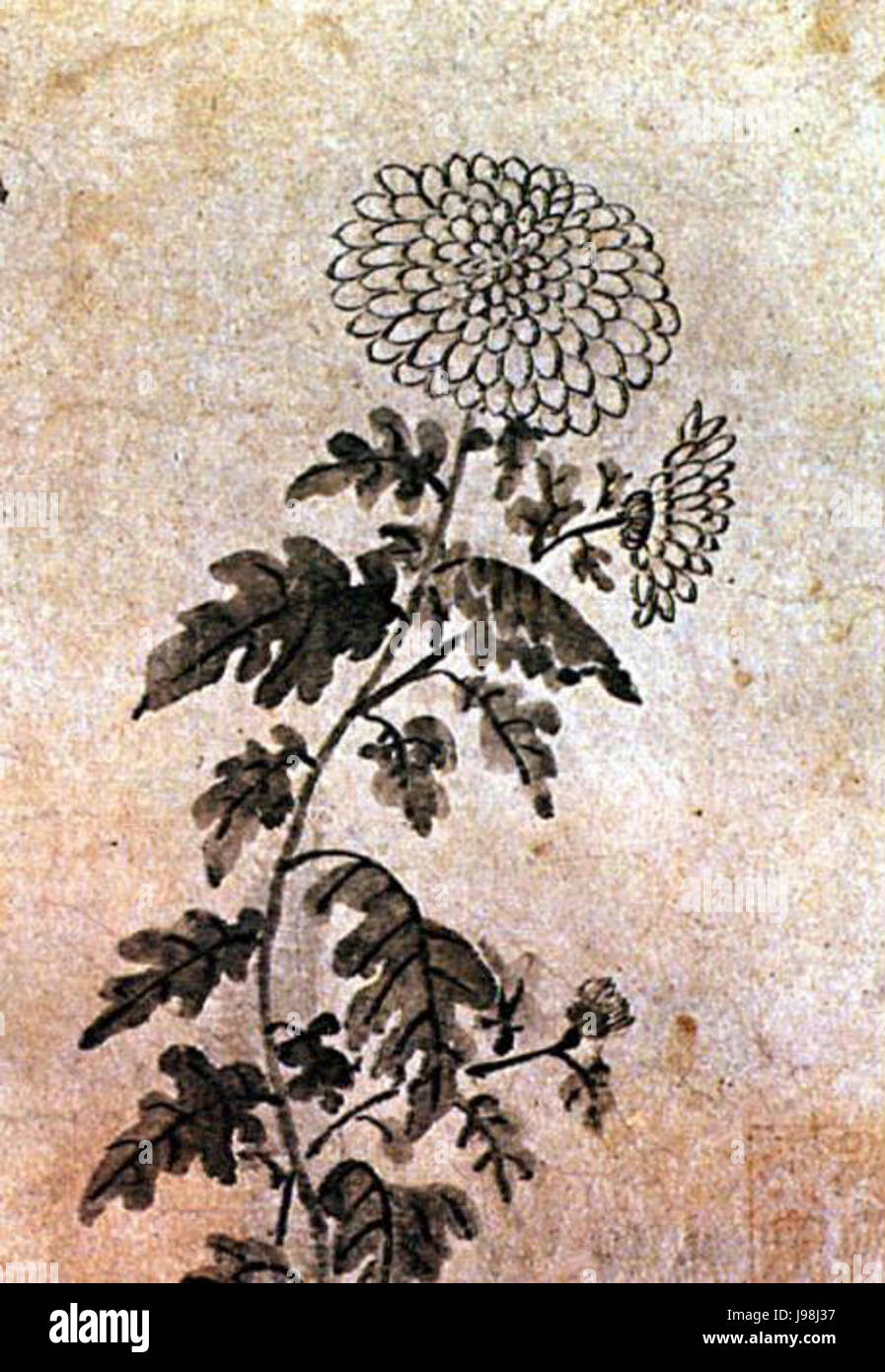 Shin saimdang hi-res stock photography and images - Alamy