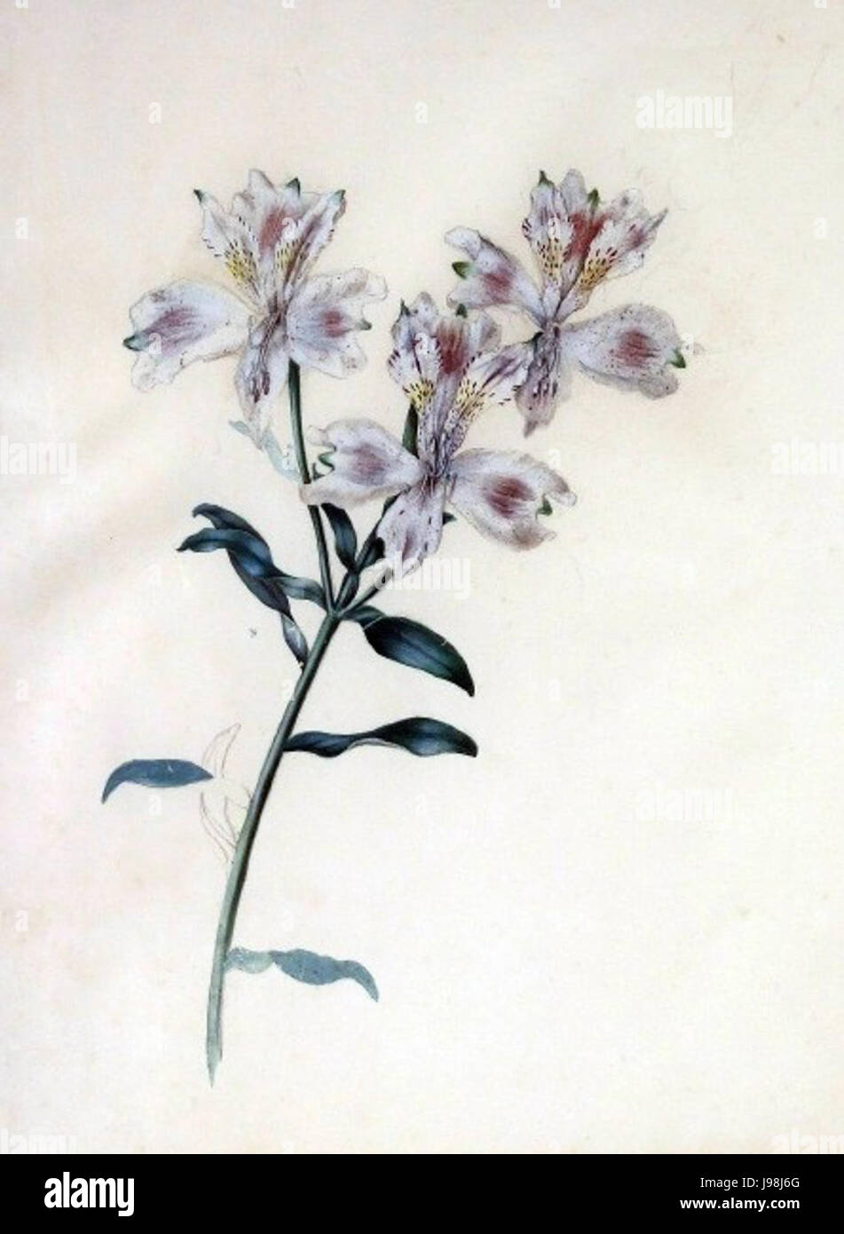 Sarah rhodes hi-res stock photography and images - Alamy