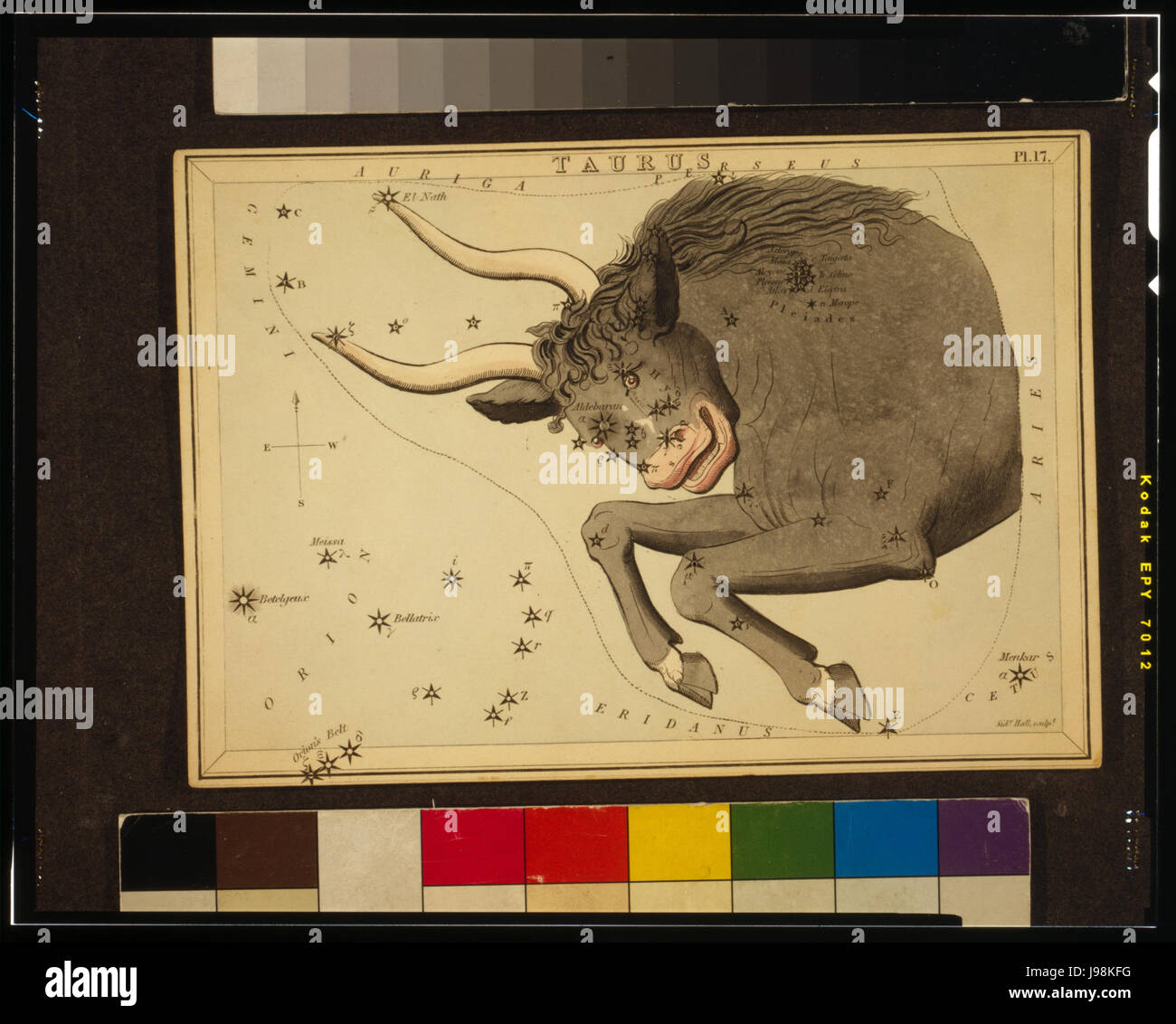 Taurus and orion hi-res stock photography and images - Alamy