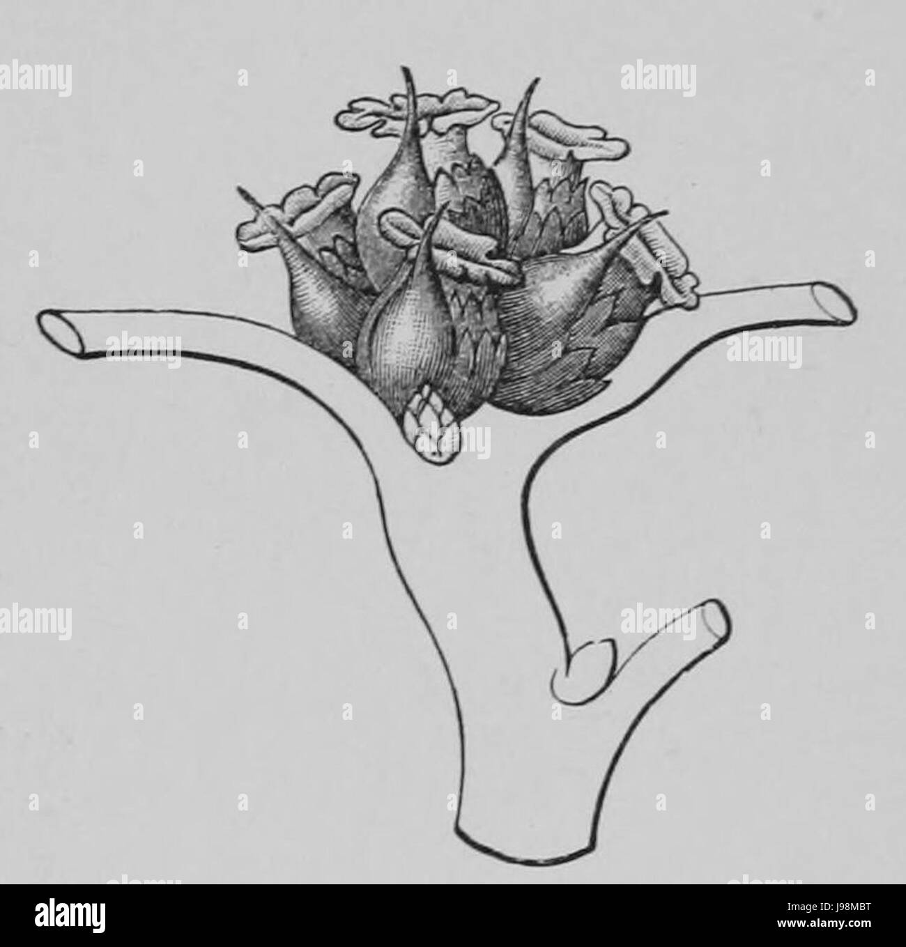 Marshall health Black and White Stock Photos & Images - Alamy