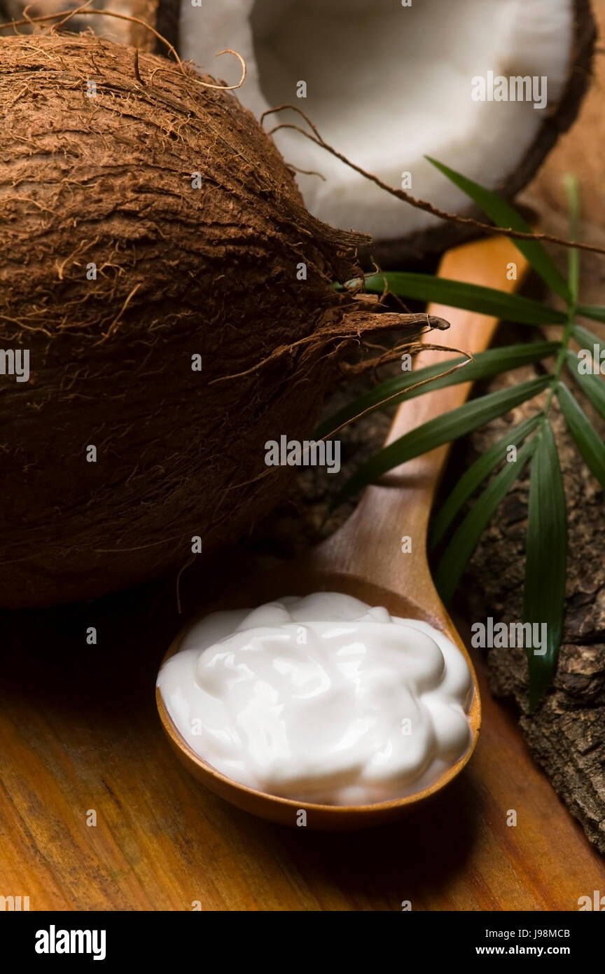 leaf, fruit, nut, palm, spa, mineral spring, medicinal spring, coconut ...