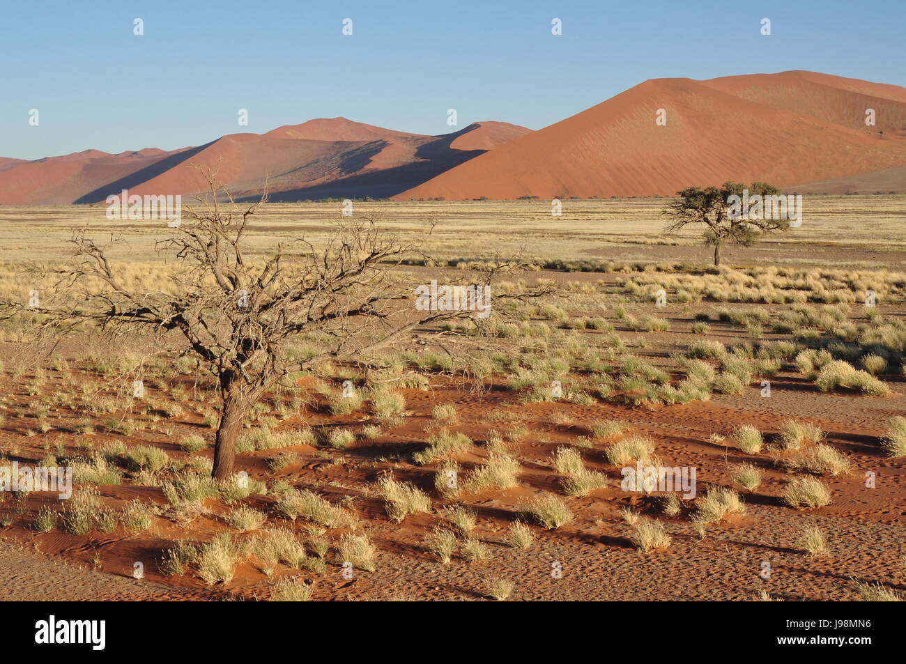 namibia - landscape of sossusvlei Stock Photo - Alamy