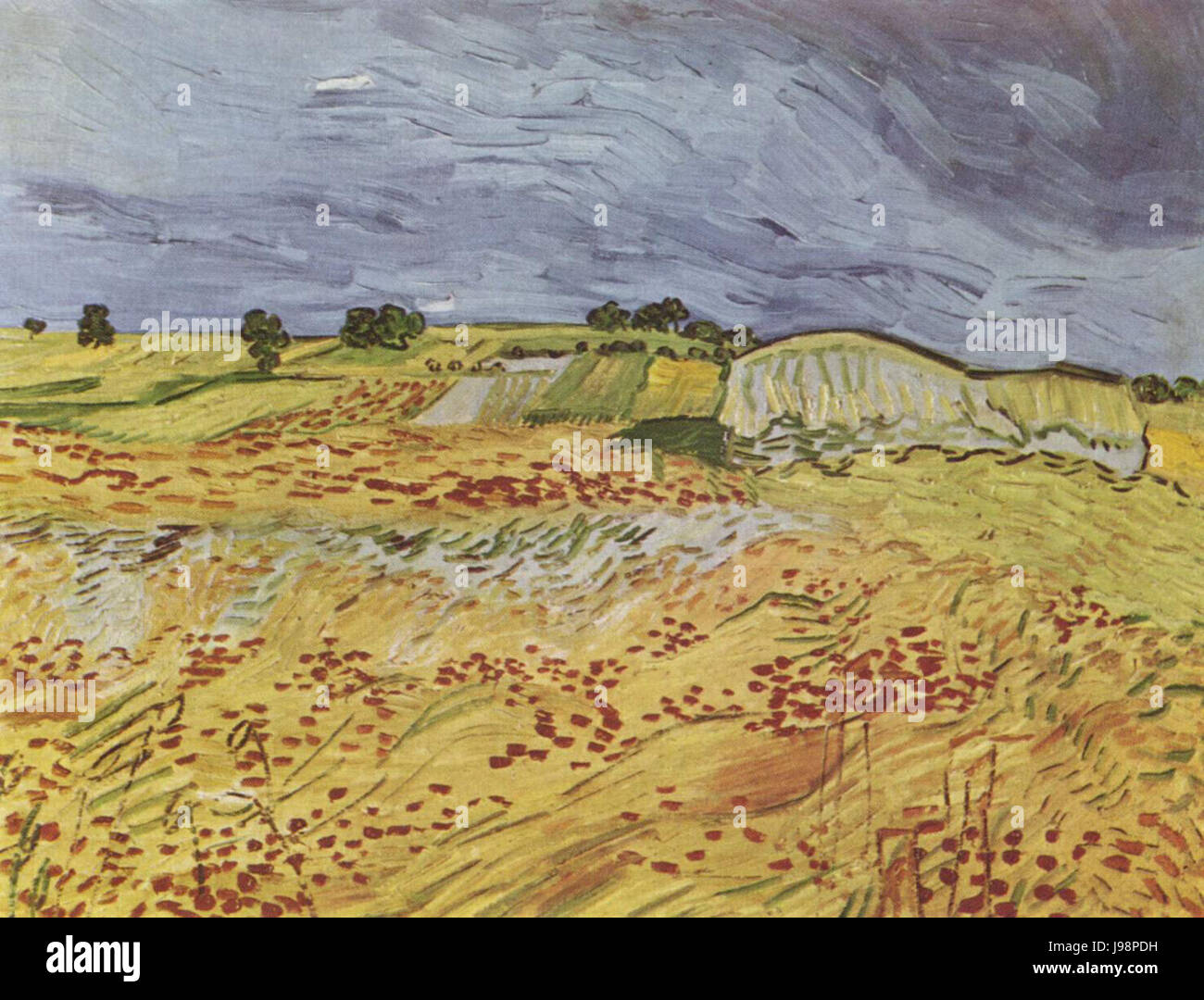 Vincent Willem van Gogh, a renowned Dutch painter, created iconic works ...