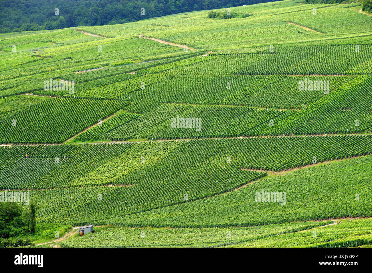 houses, agriculture, farming, field, france, valley, farm, grow ...