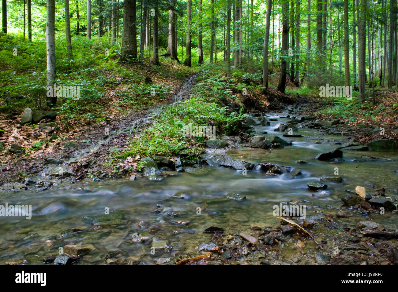 mountains, stream, lawn, green, forest, river, water, nature, leaf ...