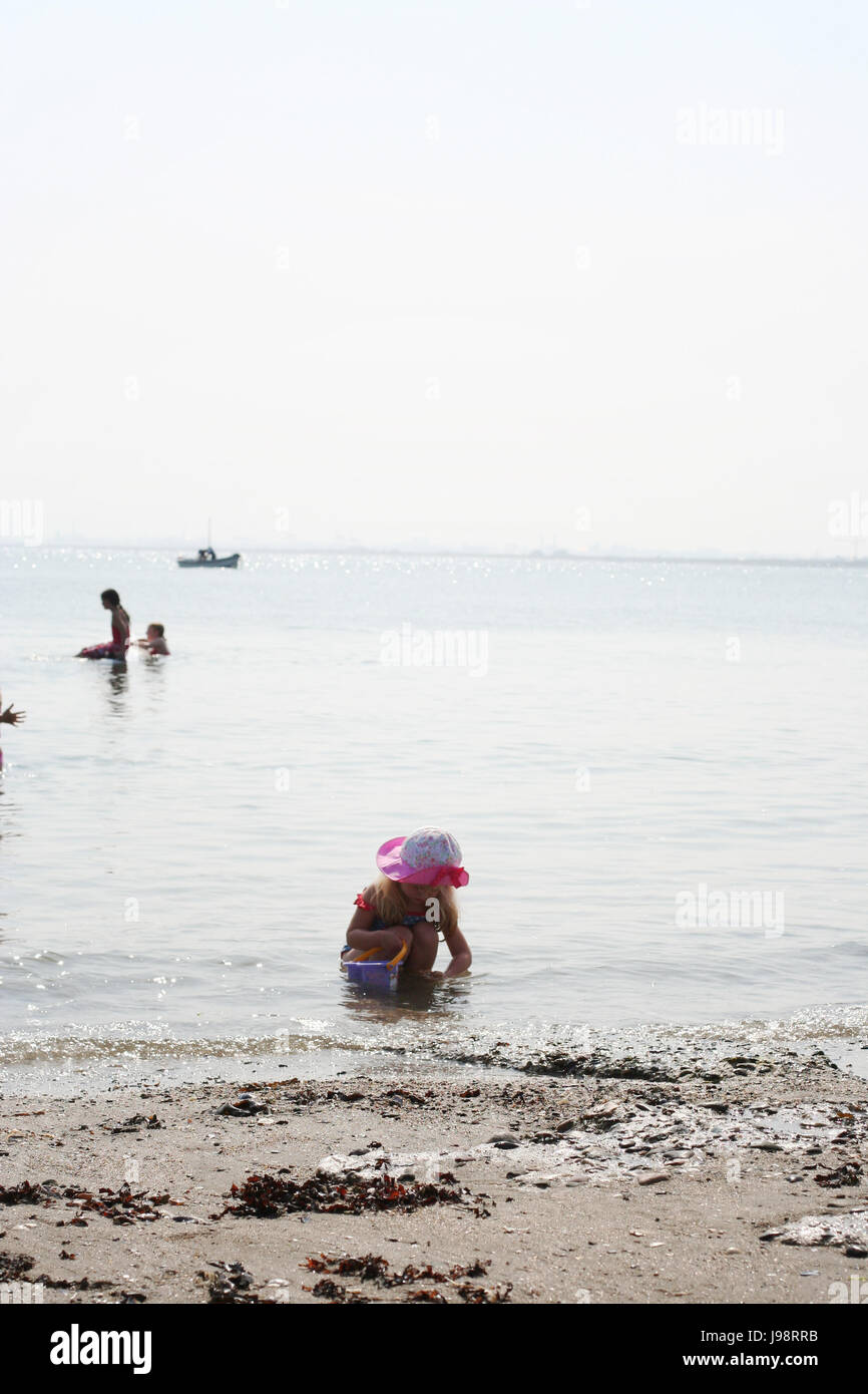 Collecting Shells Stock Photos & Collecting Shells Stock Images - Alamy