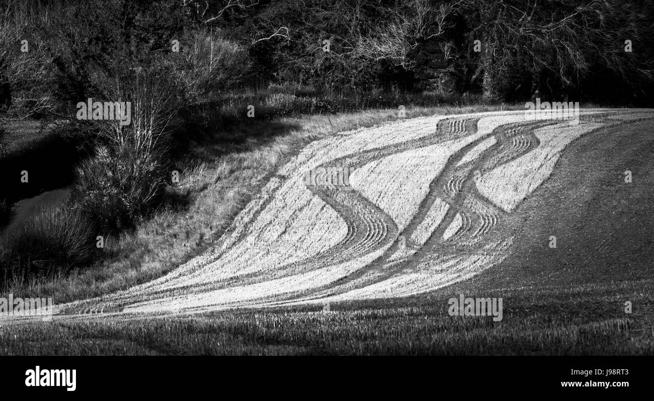 Spring fields woods Black and White Stock Photos & Images - Alamy