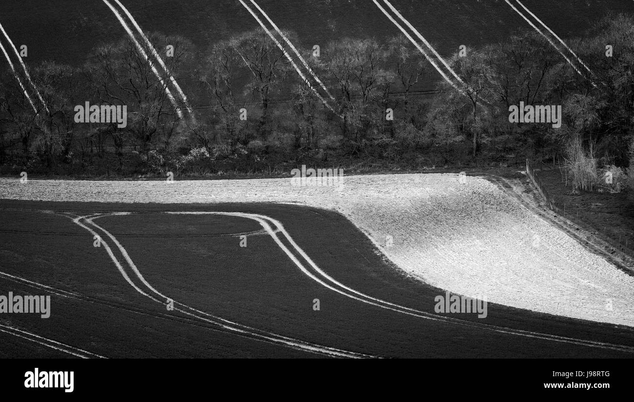 Spring fields woods Black and White Stock Photos & Images - Alamy