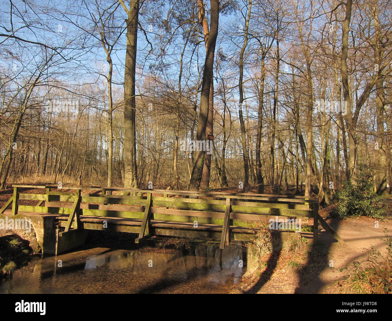 wooden bridge in the forest Stock Photo - Alamy