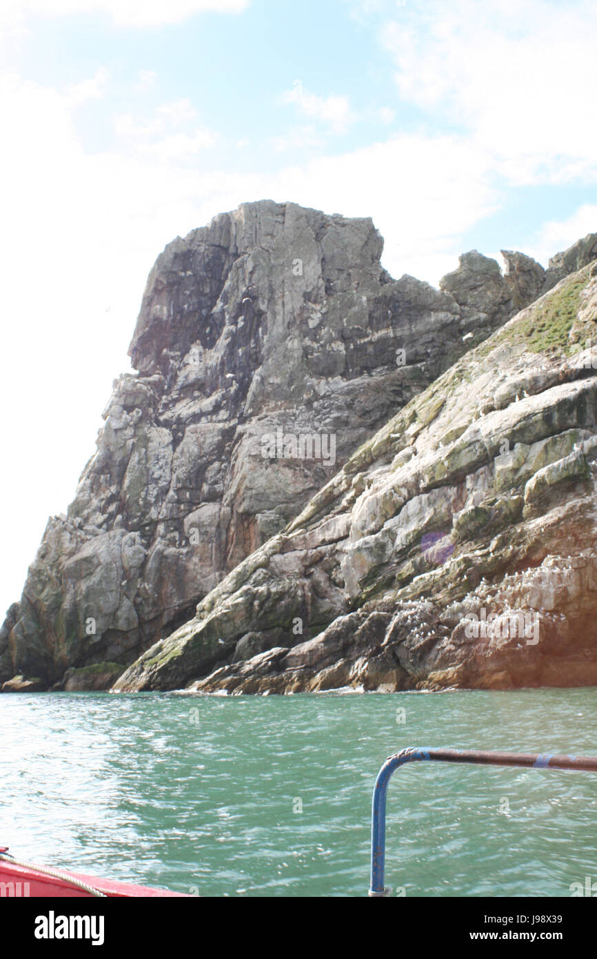 Closeup Ireland's Eye view from a boat trip Stock Photo - Alamy