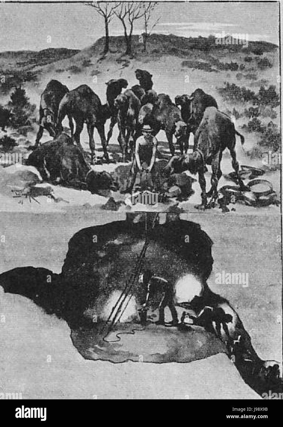 Sand habitats Black and White Stock Photos & Images - Alamy