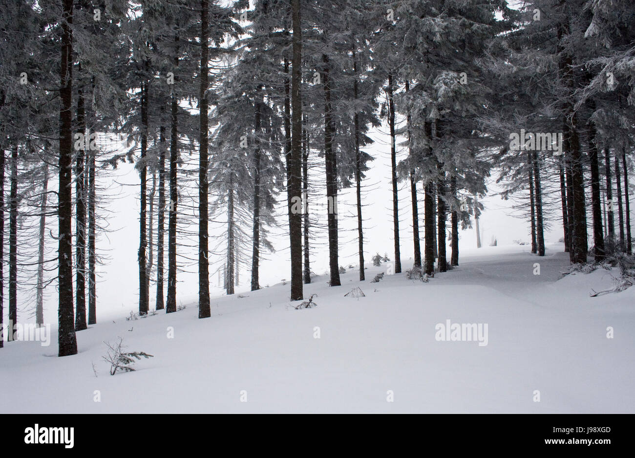 mountains, winter, snow, coke, cocaine, material, drug, anaesthetic ...