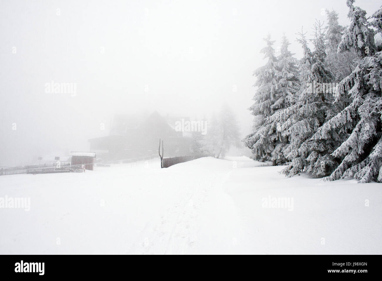 mountains, winter, snow, coke, cocaine, material, drug, anaesthetic ...