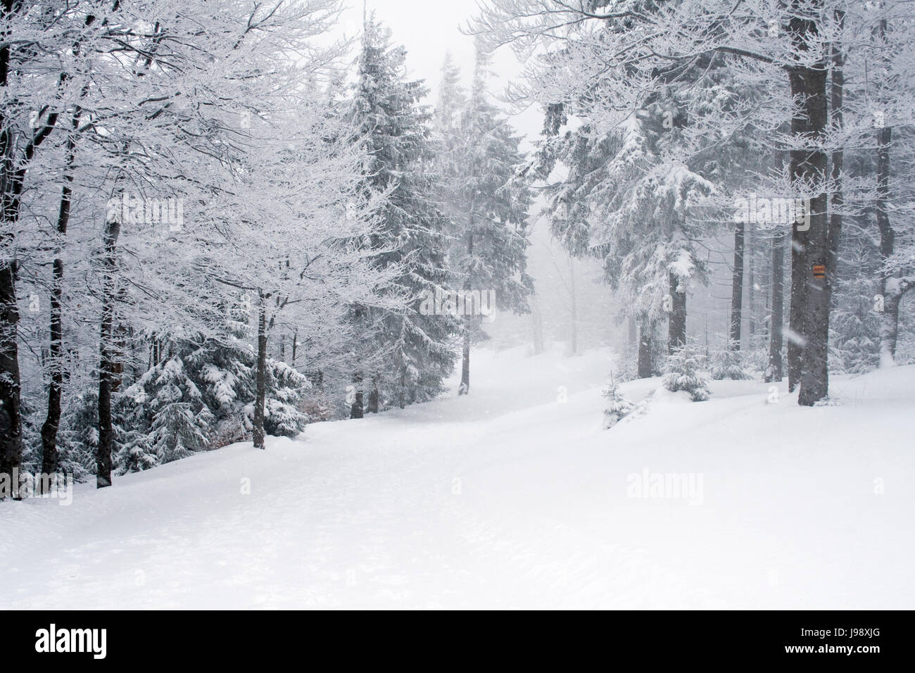 mountains, winter, snow, coke, cocaine, material, drug, anaesthetic ...