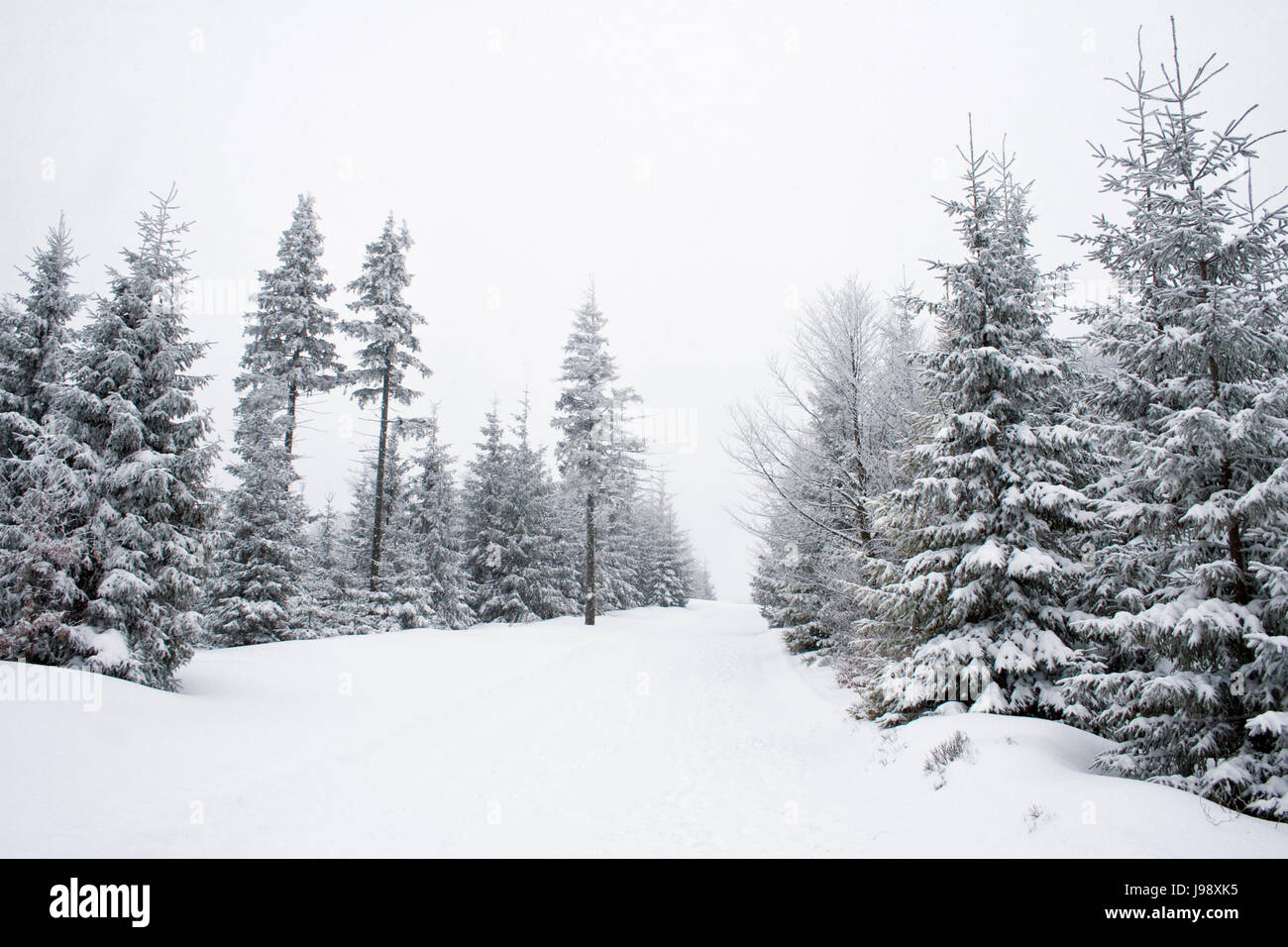mountains, winter, snow, coke, cocaine, material, drug, anaesthetic ...