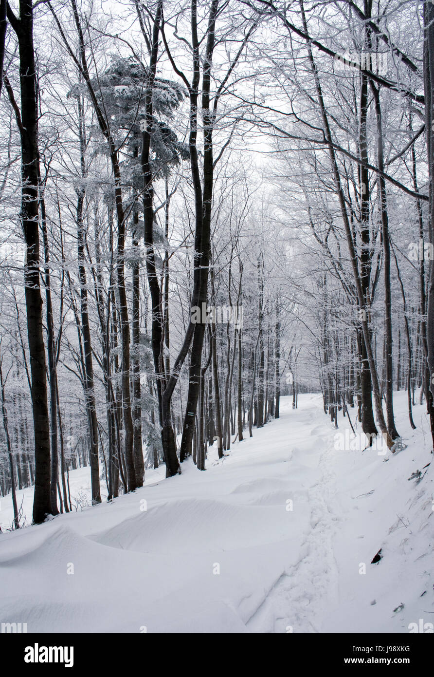 mountains, winter, snow, coke, cocaine, material, drug, anaesthetic ...