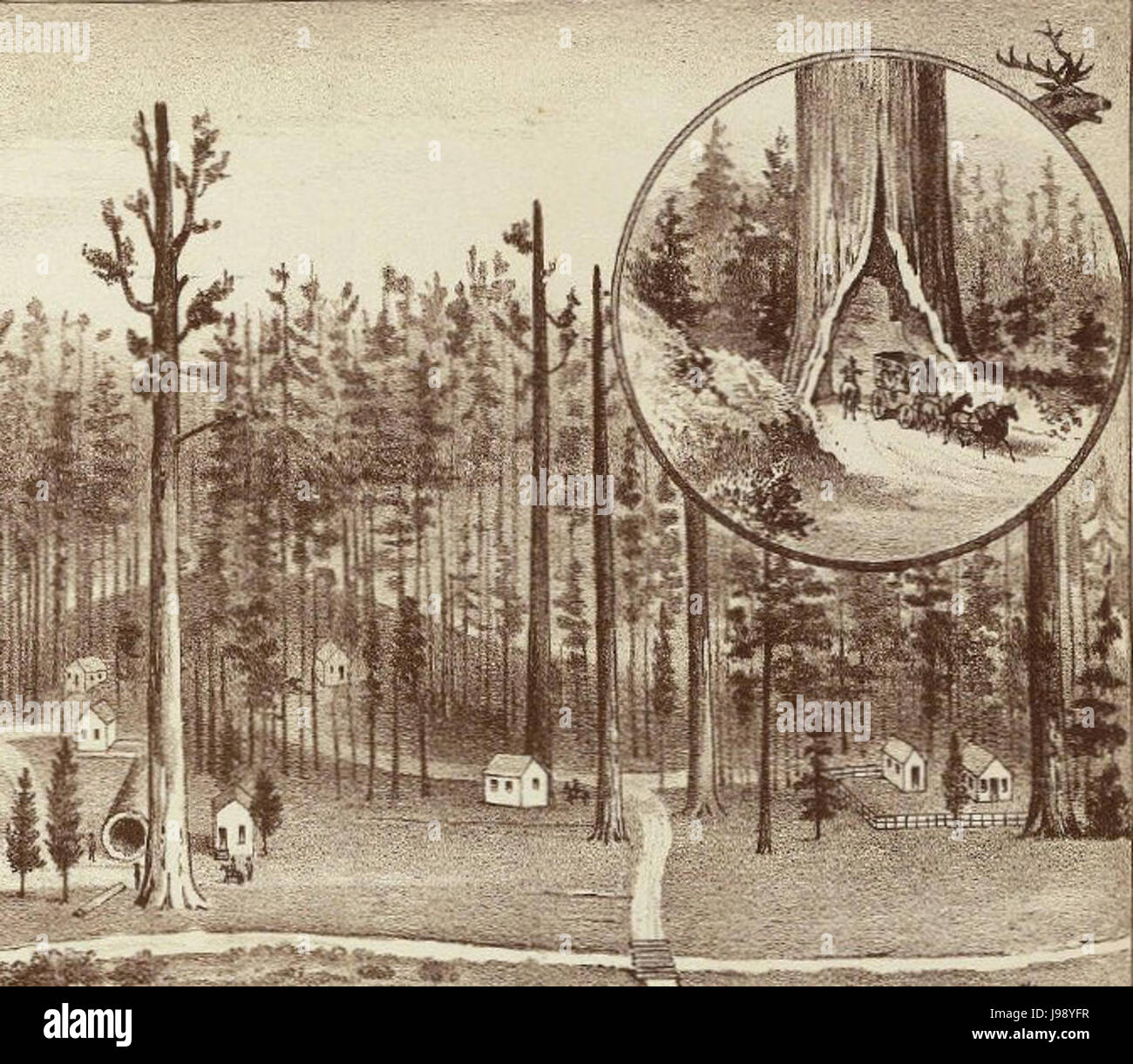 Summer Home scene Thompson 1892 Stock Photo - Alamy