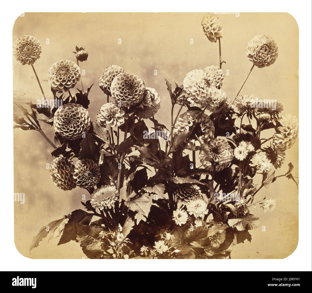 Vintage art project Cut Out Stock Images & Pictures - Alamy