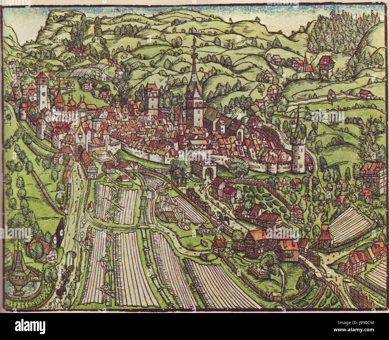 St Gallen stumpf col Stock Photo - Alamy