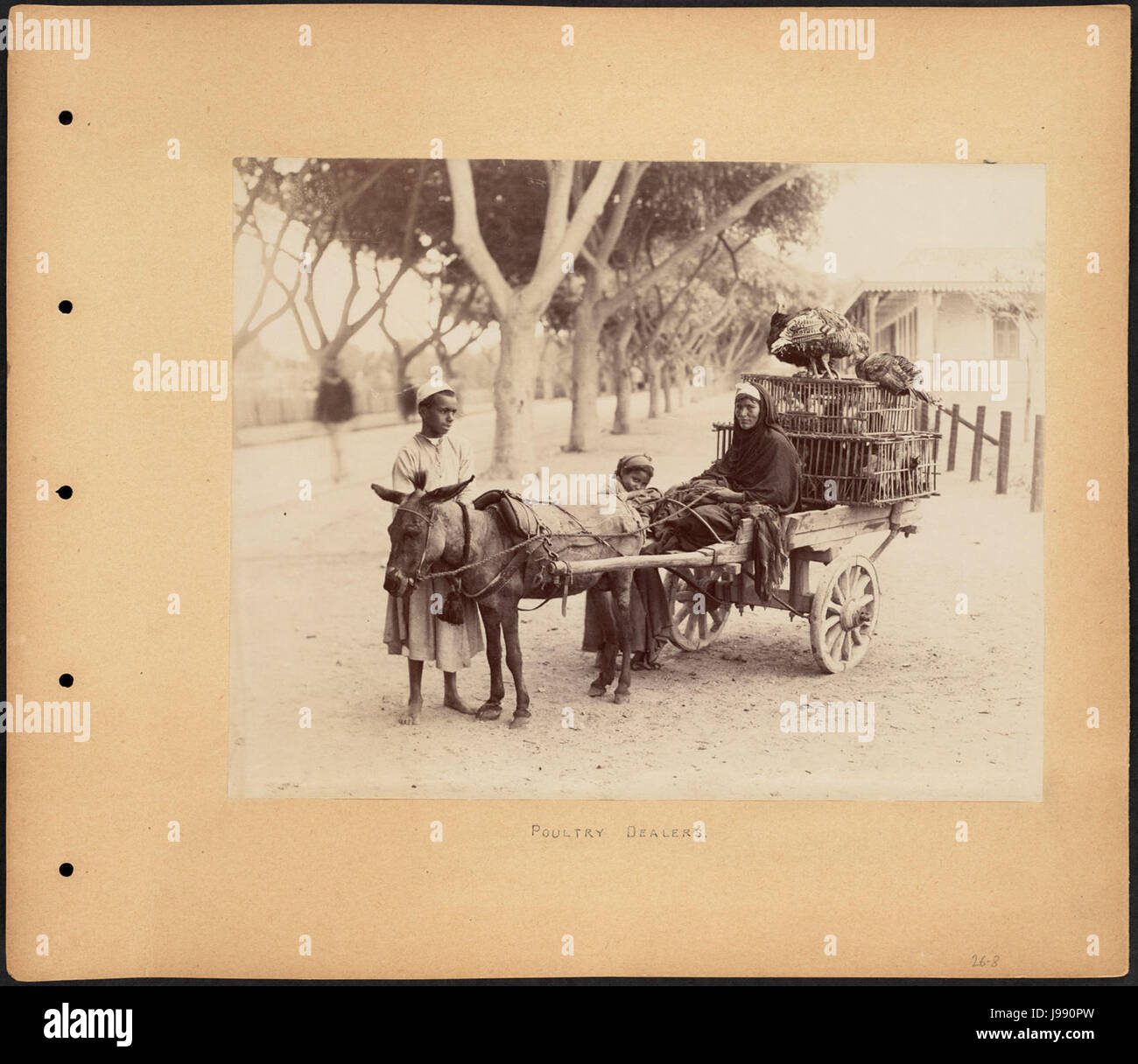 Poultry Dealers by Boston Public Library Stock Photo - Alamy