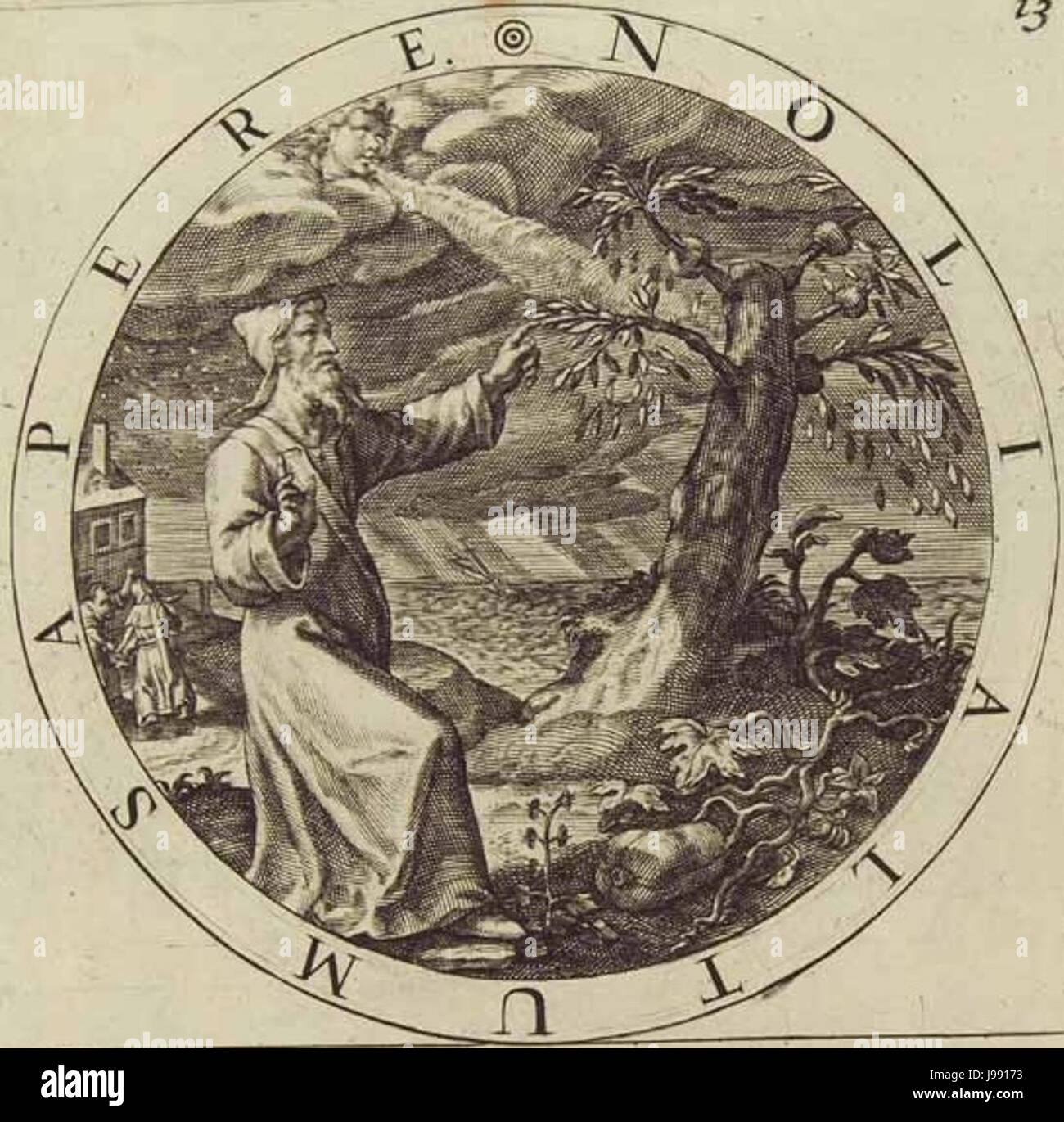 Rollenhagen hi-res stock photography and images - Alamy