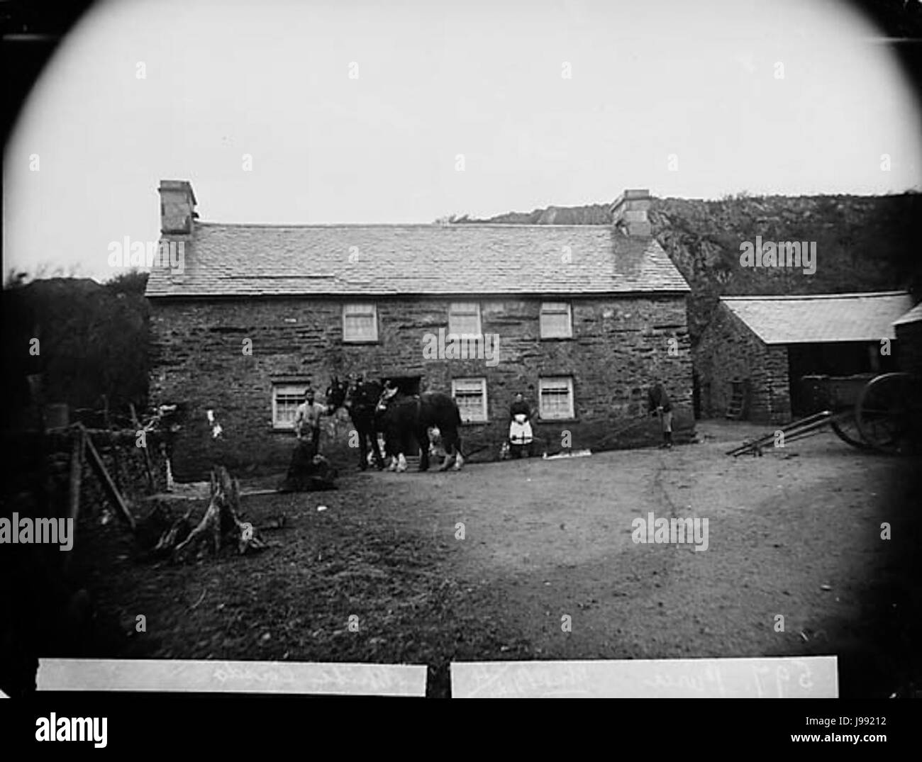 Pierce family in front of their house with a horse NLW3362109 Stock ...
