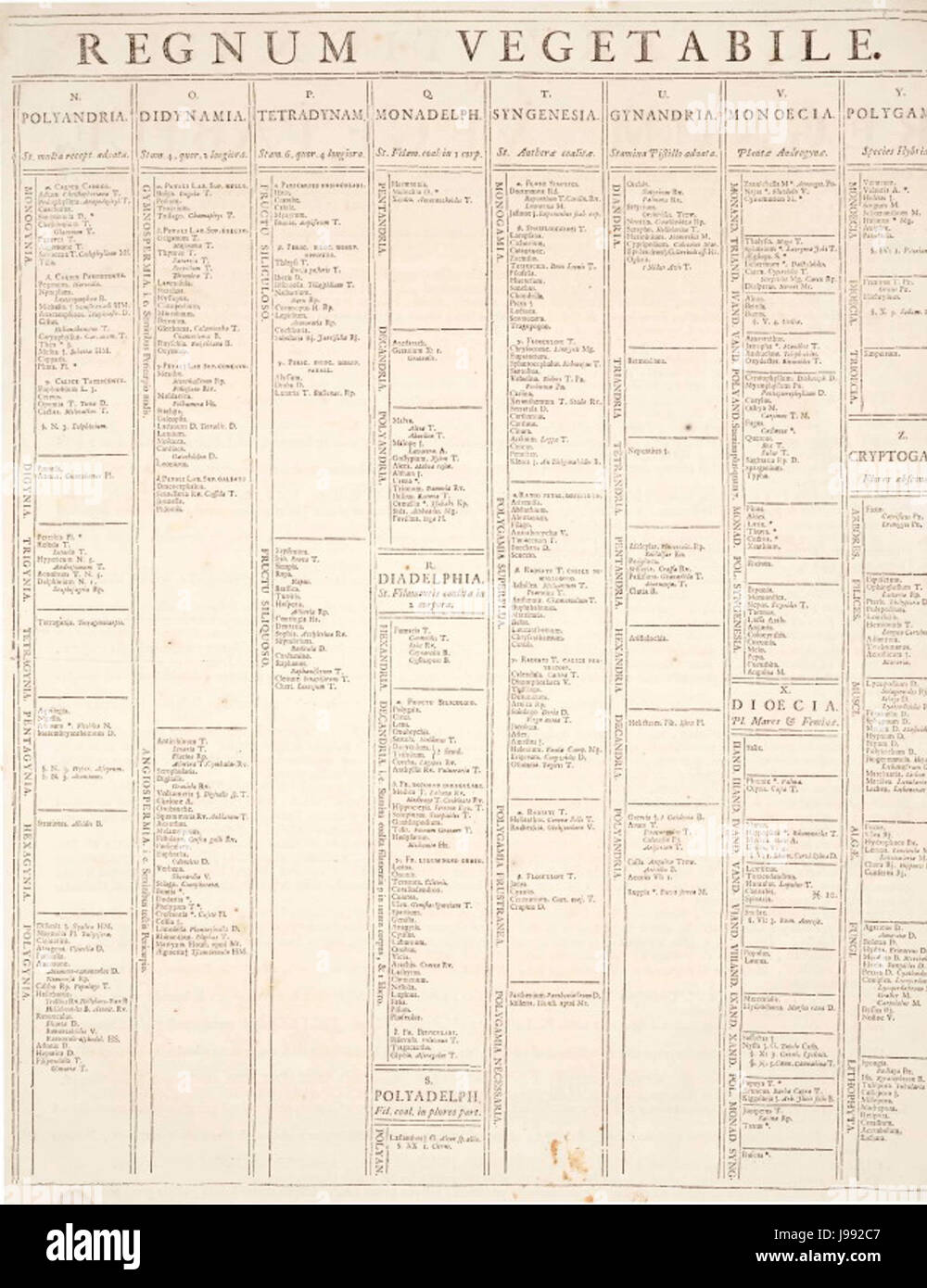 Carl linnaeus systema naturae hi-res stock photography and images - Alamy