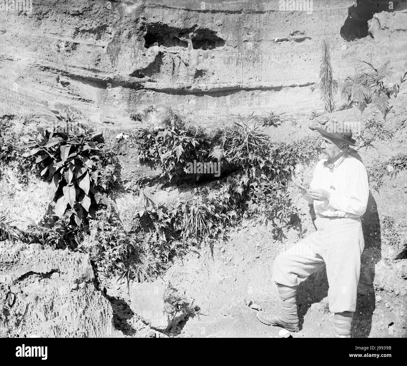 Vegetated habitats hi-res stock photography and images - Alamy